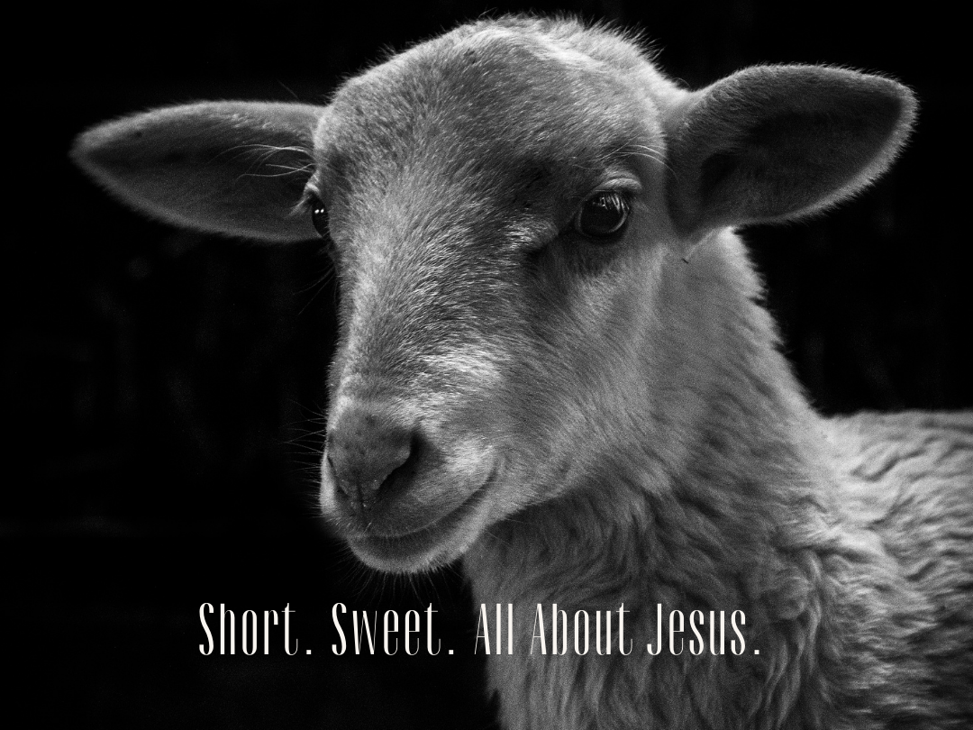 Passover Seder | Grace Community Bible Church